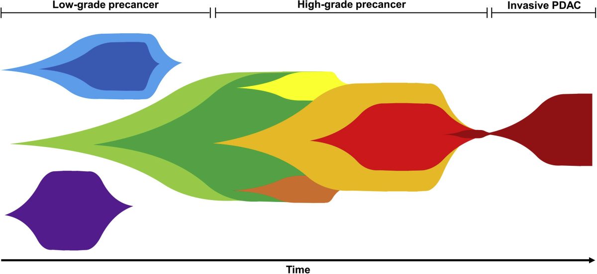 Tumor evolution – Karchin Lab