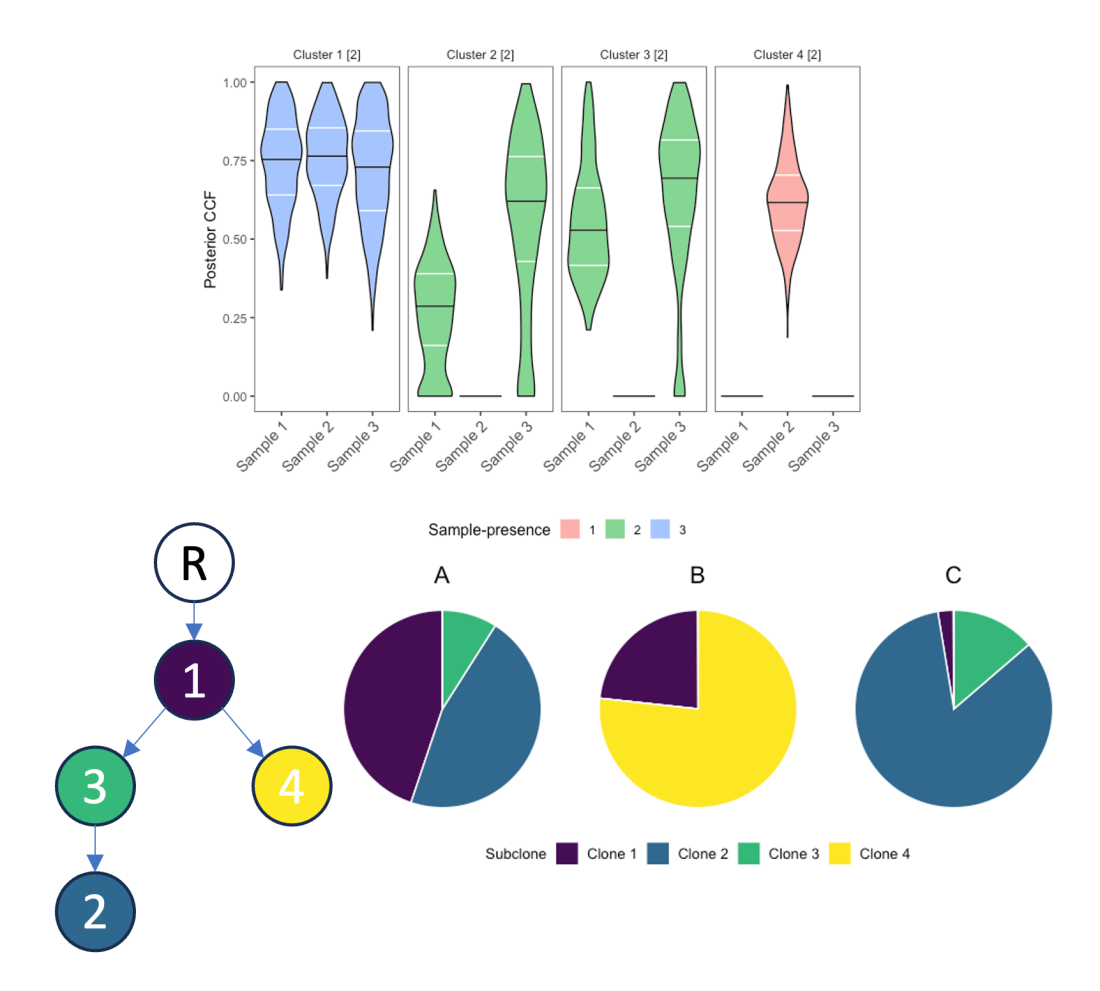 Tumor Evolution Karchin Lab